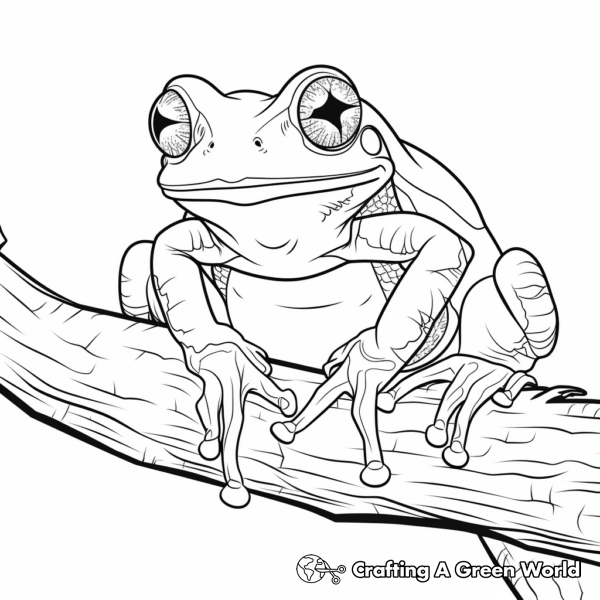 Tree Frog Coloring Pages - Free & Printable!