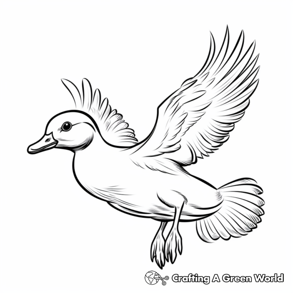 Duck Coloring Pages - Free & Printable!