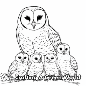 Barn Owl Coloring Pages - Free & Printable!