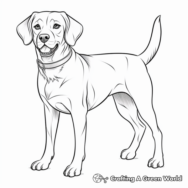 Dog Breed Coloring Pages - Free & Printable!