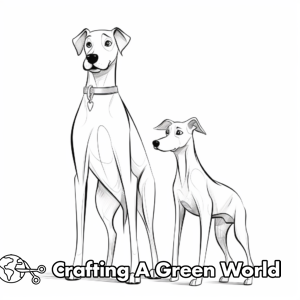 Greyhound Coloring Pages - Free & Printable!