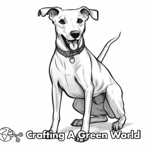 Greyhound Coloring Pages - Free & Printable!