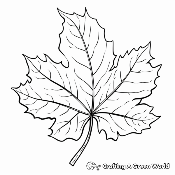 Leaf Coloring Pages - Free & Printable!