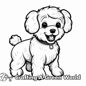 Poodle Coloring Pages - Free & Printable!