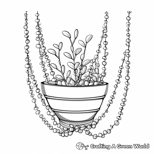 Succulent Coloring Pages - Free & Printable!