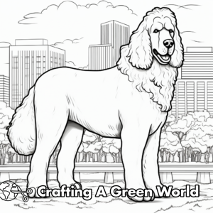 Poodle Coloring Pages - Free & Printable!