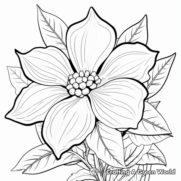 Pointsettia Coloring Pages - Free & Printable!