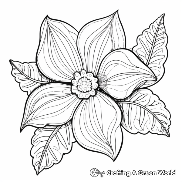 Pointsettia Coloring Pages - Free & Printable!