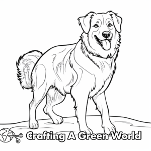 Shepherd Coloring Pages - Free & Printable!