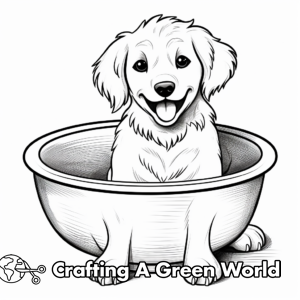 Dog Bowl Coloring Pages - Free & Printable!