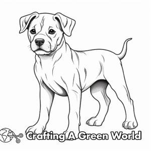 American Bulldog Coloring Pages - Free & Printable!