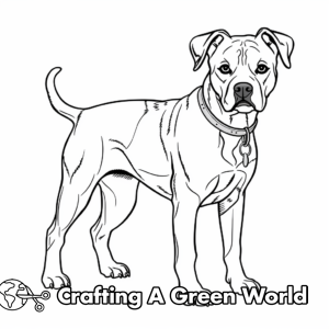 American Bulldog Coloring Pages - Free & Printable!