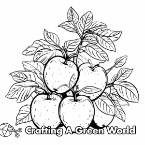Fall Apple Coloring Pages - Free & Printable!