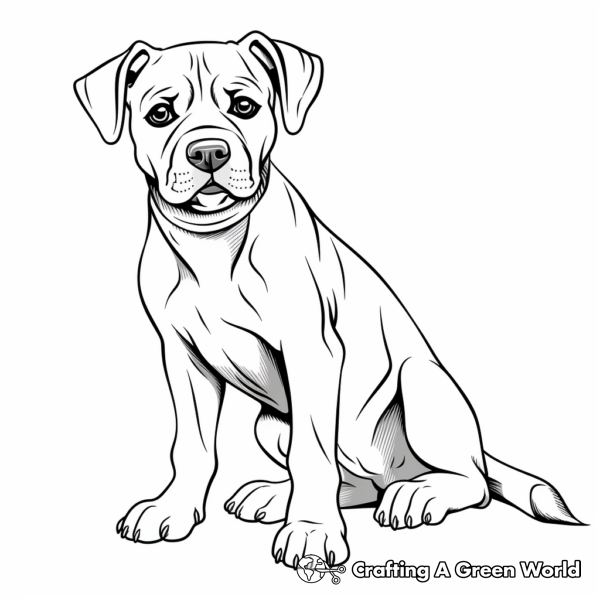 American Bulldog Coloring Pages - Free & Printable!