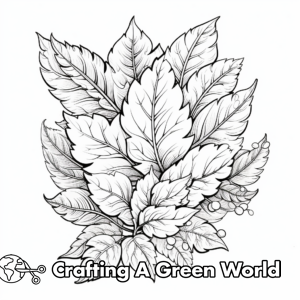 Aesthetic Fall Coloring Pages - Free & Printable!