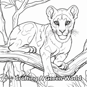 Mountain Lion Coloring Pages - Free & Printable!
