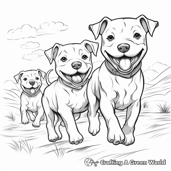 Pitbull Coloring Pages - Free & Printable!
