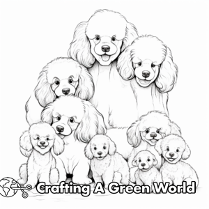 Poodle Dog Coloring Pages - Free & Printable!