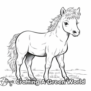 Shetland Pony Coloring Pages - Free & Printable!