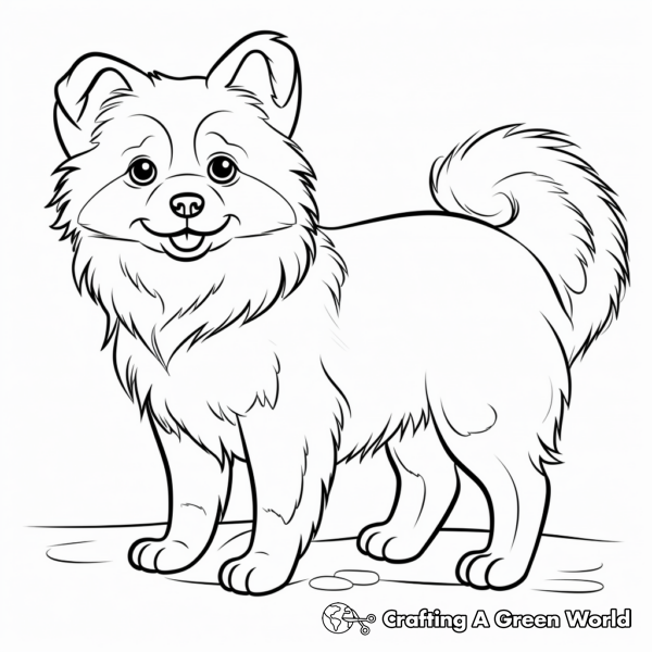 Pomeranian Coloring Pages - Free & Printable!