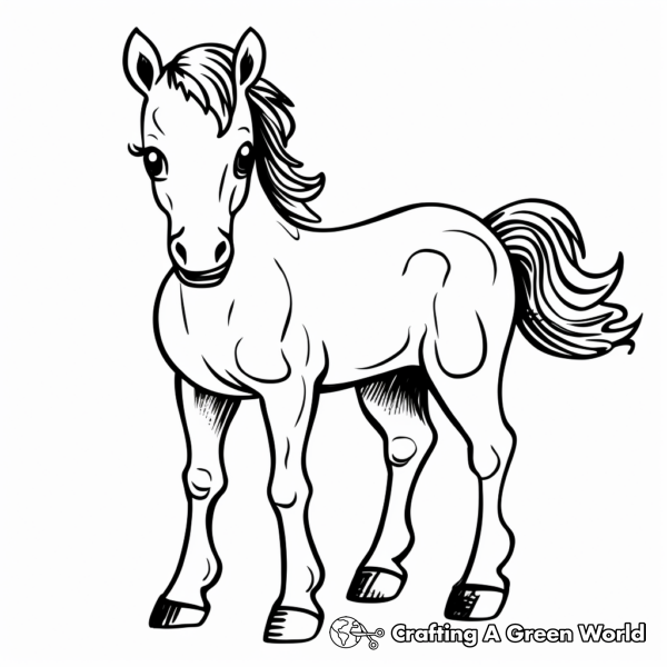Baby Horse Coloring Pages - Free & Printable!