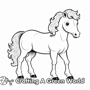 Shetland Pony Coloring Pages - Free & Printable!