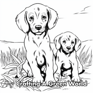 Springer Spaniel Coloring Pages - Free & Printable!
