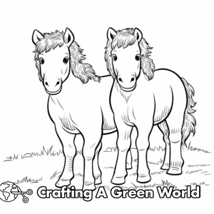 Shetland Pony Coloring Pages - Free & Printable!