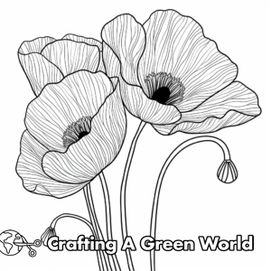 Poppy Coloring Pages - Free & Printable!