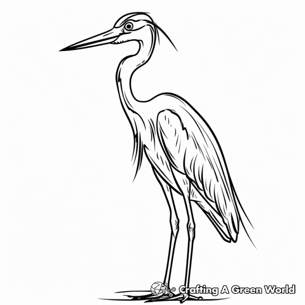 Heron Coloring Pages - Free & Printable!