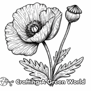Poppy Coloring Pages - Free & Printable!
