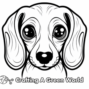 Dog Face Coloring Pages - Free & Printable!