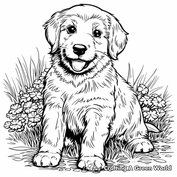 Golden Retriever Puppy Coloring Pages - Free & Printable!