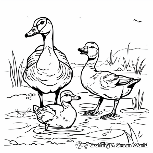 Realistic Farm Coloring Pages - Free & Printable!