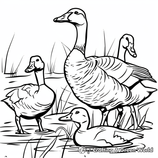 Realistic Farm Coloring Pages - Free & Printable!