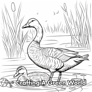Realistic Farm Coloring Pages - Free & Printable!