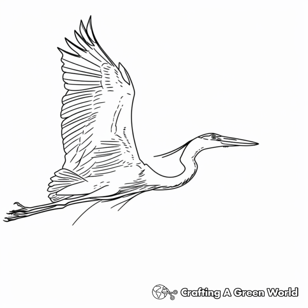 Heron Coloring Pages - Free & Printable!