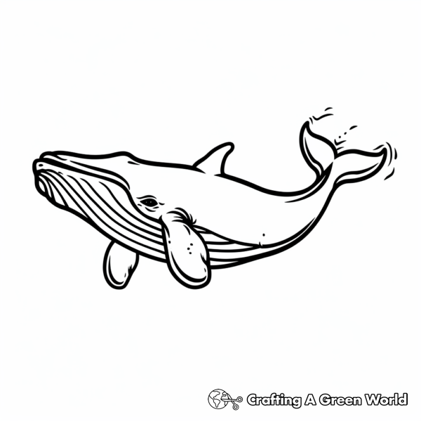 Realistic Whale Coloring Pages - Free & Printable!