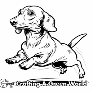 Dachshund Coloring Pages - Free & Printable!