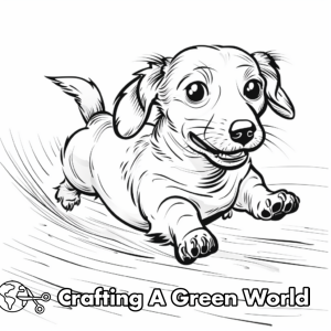 Dachshund Coloring Pages - Free & Printable!
