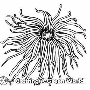 Sea Anemone Coloring Pages - Free & Printable!