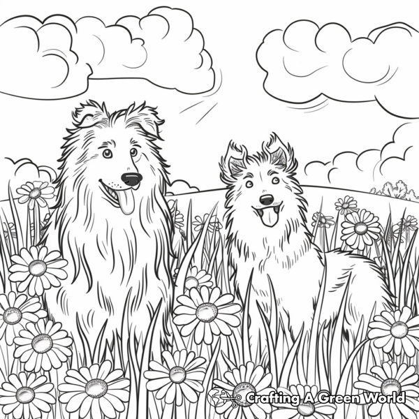 Collie Coloring Pages - Free & Printable!