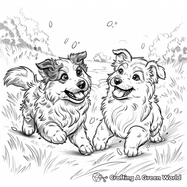 Collie Coloring Pages - Free & Printable!