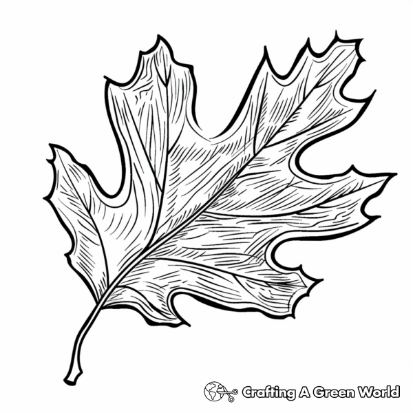 Fall Leaves Coloring Pages - Free & Printable!