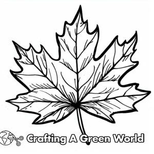 Fall Leaves Coloring Pages - Free & Printable!