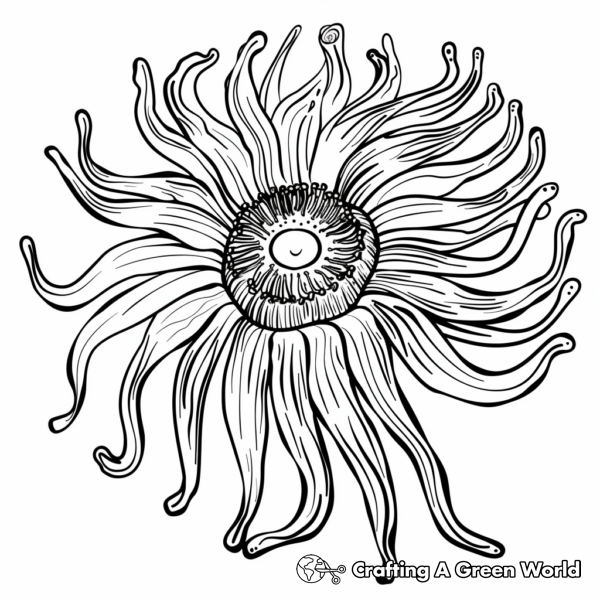 Sea Anemone Coloring Pages - Free & Printable!