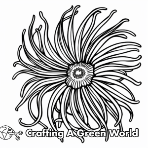 Sea Anemone Coloring Pages - Free & Printable!