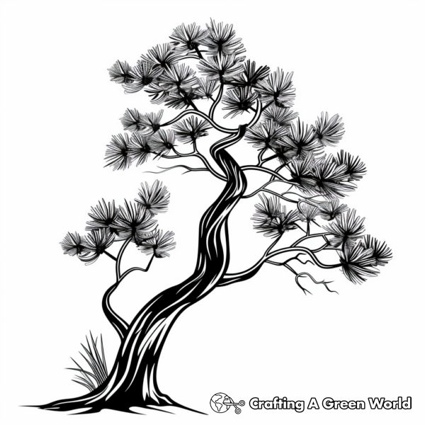 Pine Tree Coloring Pages - Free & Printable!