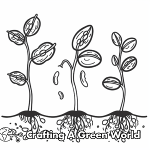 Plant Life Cycle Coloring Pages - Free & Printable!