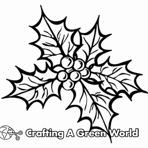 Holly Coloring Pages - Free & Printable!